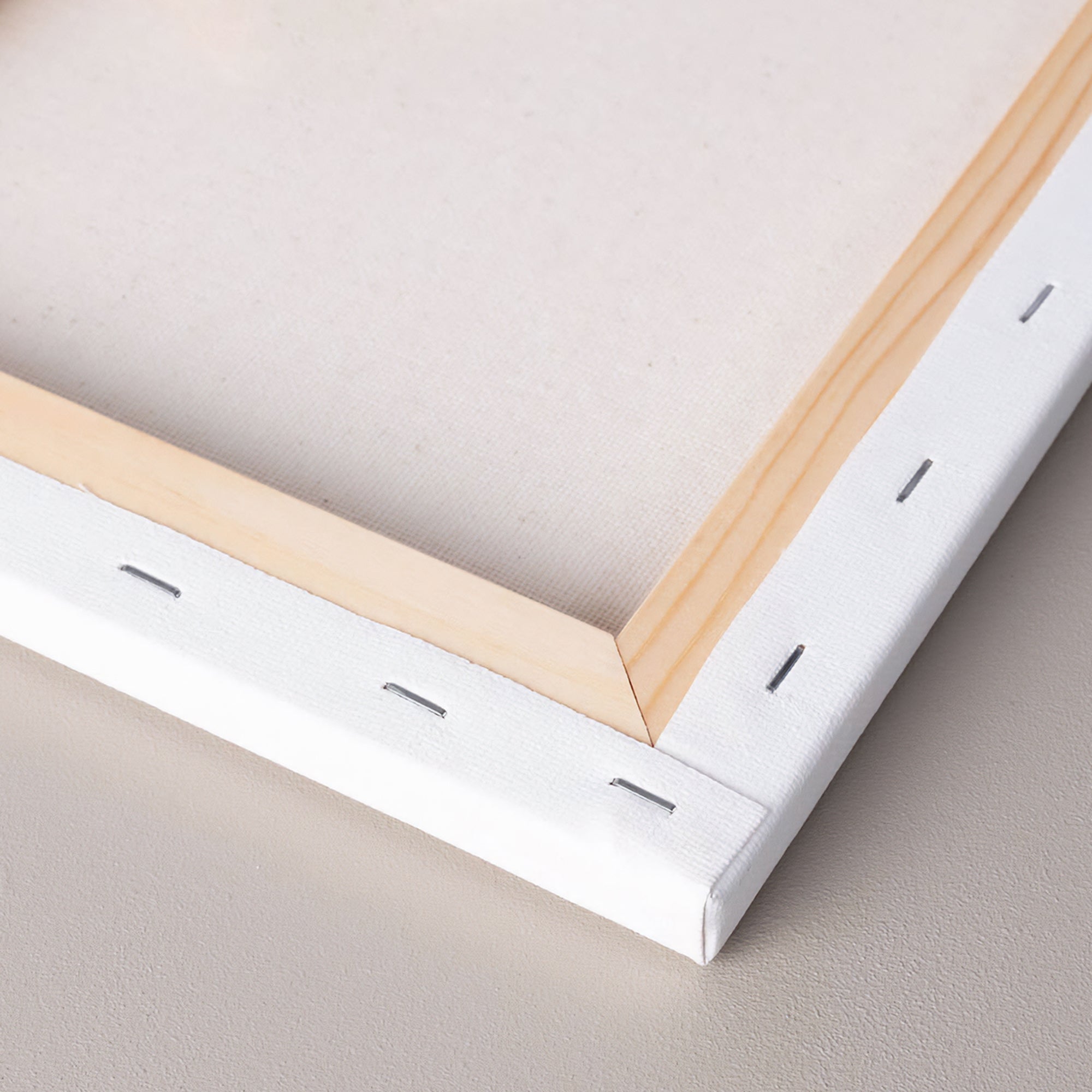 Discover Large Blank Canvases with ARTdiscount