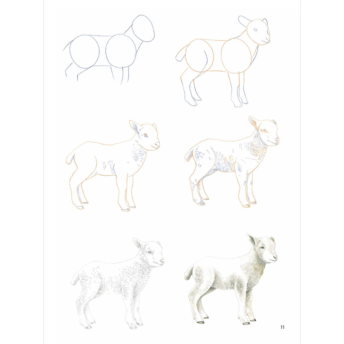 How to Draw: Farm Animals in Simple Steps - S. Hodge