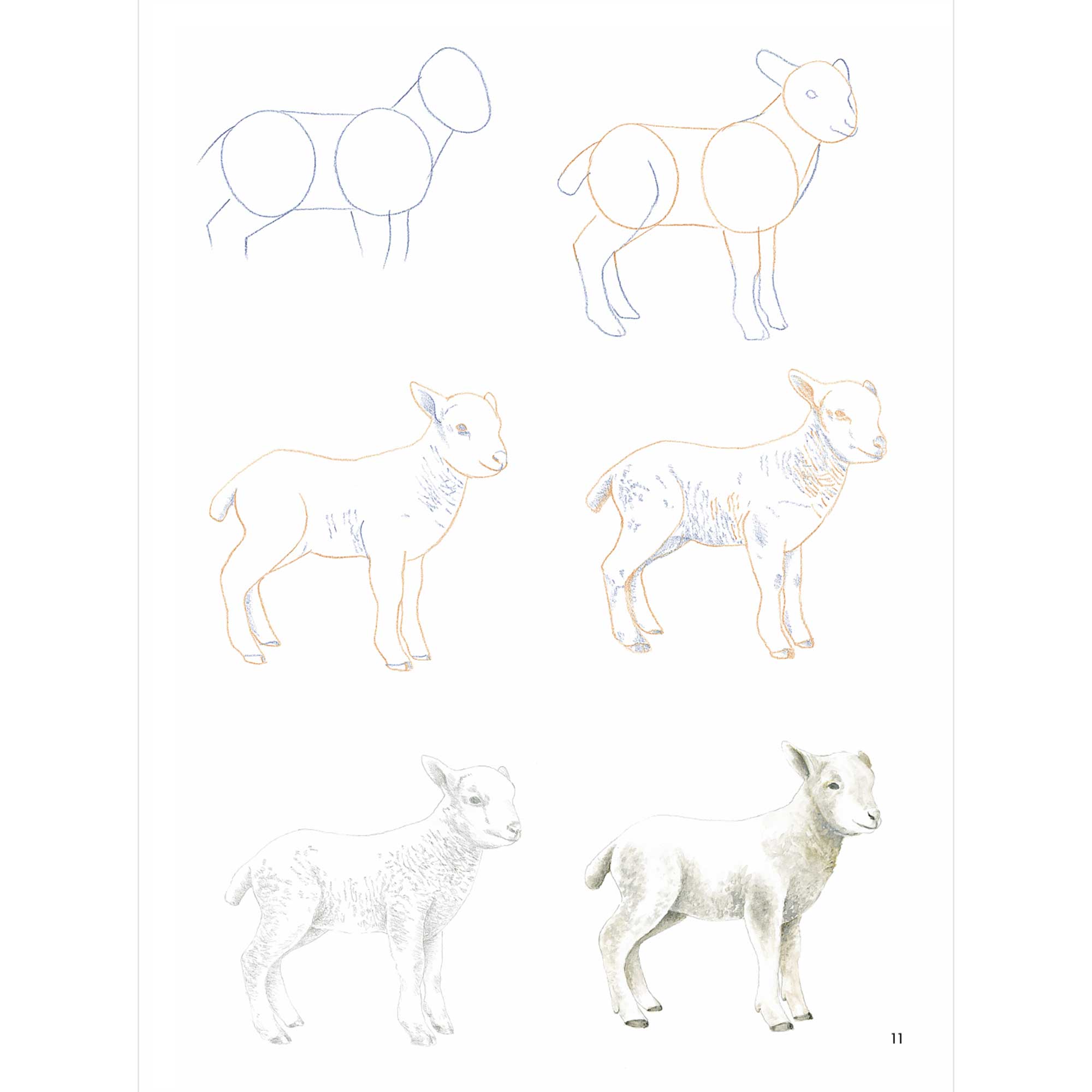 How to Draw: Farm Animals in Simple Steps - S. Hodge