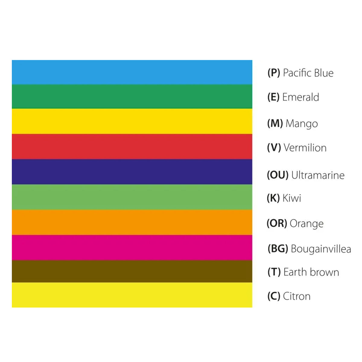 Seawhite Assorted Tropical Paper - 135gsm - 100 Sheet Pack