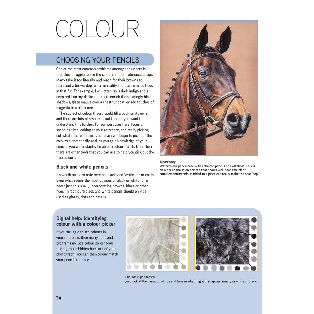 Drawing Animal Portraits in Coloured Pencil by L. A. Watkins