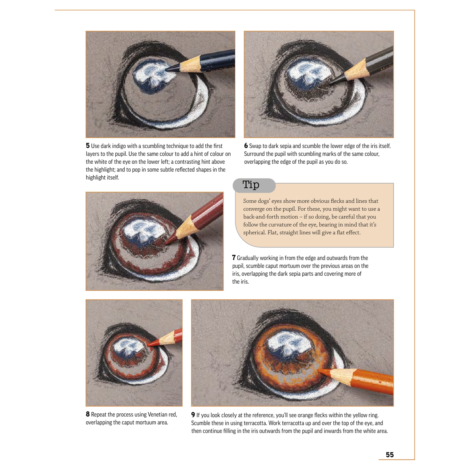 Drawing Animal Portraits in Coloured Pencil by L. A. Watkins