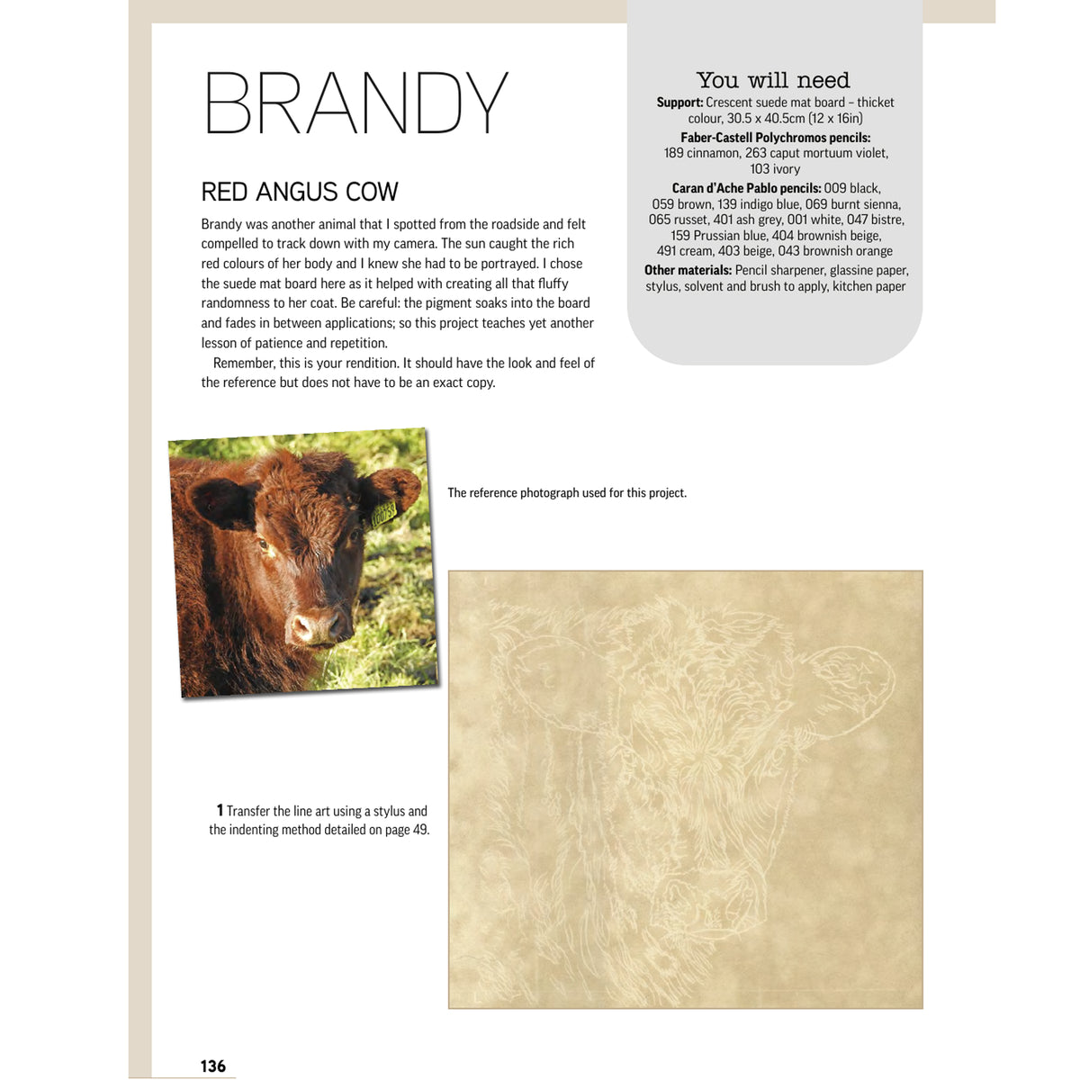 Drawing Animal Portraits in Coloured Pencil by L. A. Watkins