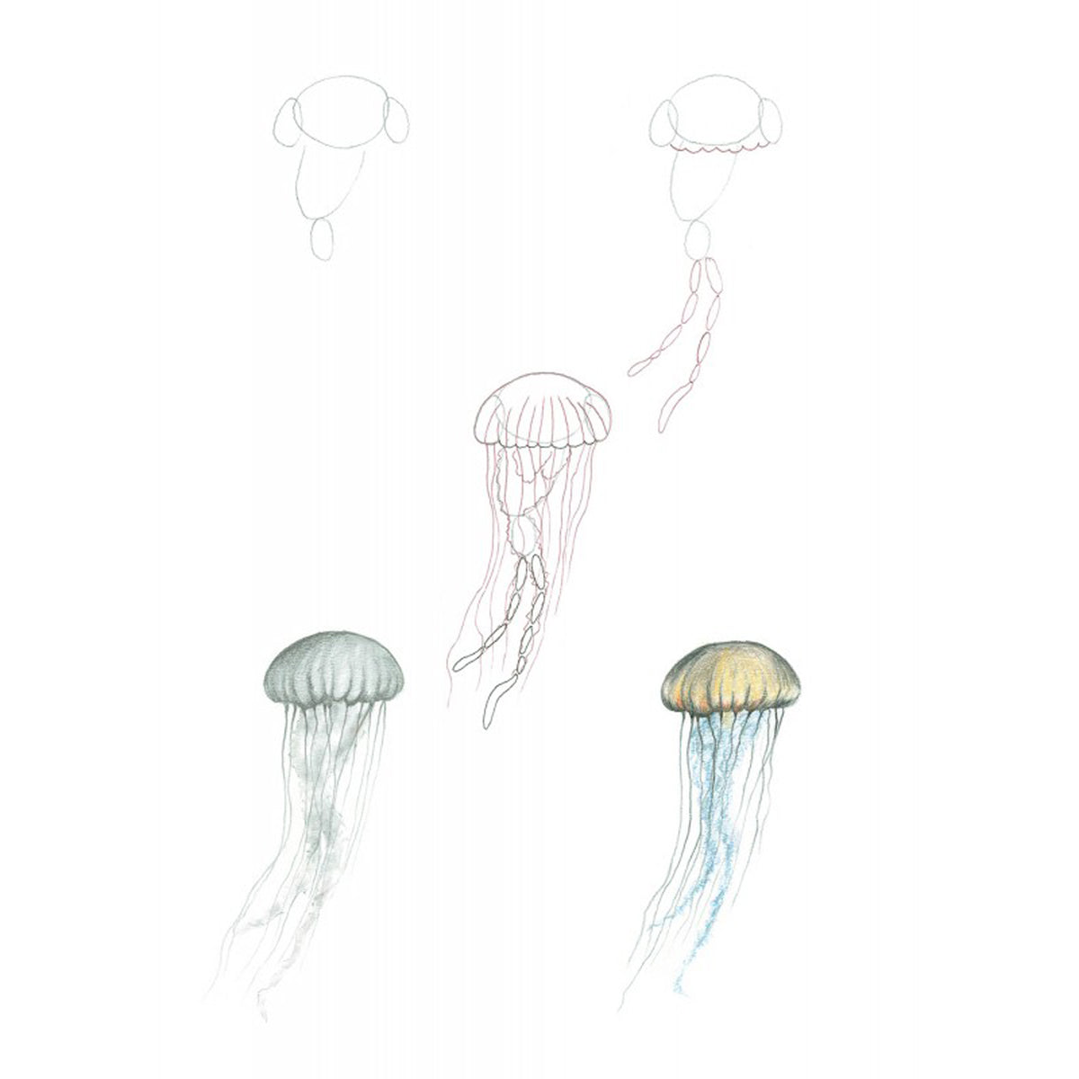 how to draw underwater creatures