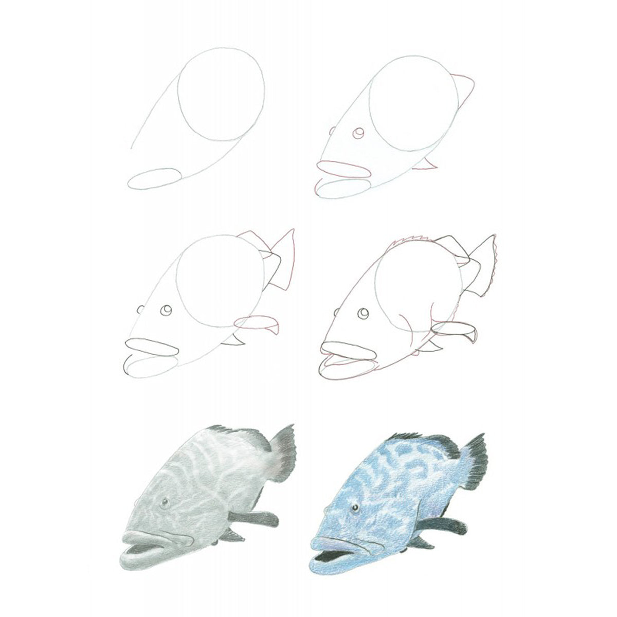 how to draw ocean fish step by step
